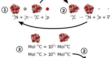 Yashoda, Author at Pediaa.Com