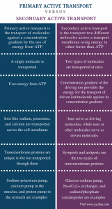 Difference Between Primary and Secondary Active Transport | Definition ...