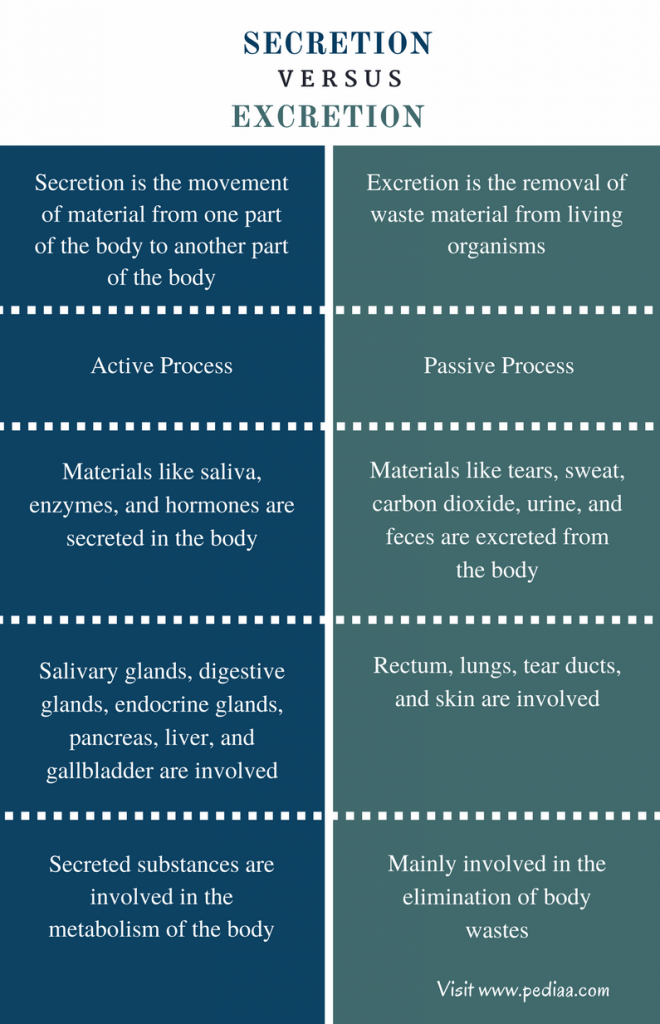 Difference Between Secretion and Excretion | Definition, Glands and ...