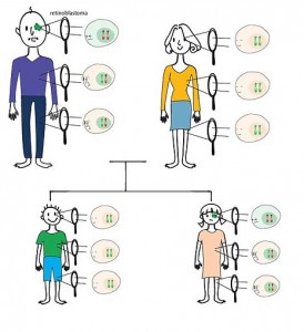 Difference Between Germline and Somatic Mutation | Definition, Features ...