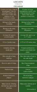 Difference Between Locusts and Cicadas | Definition, Features, Significance