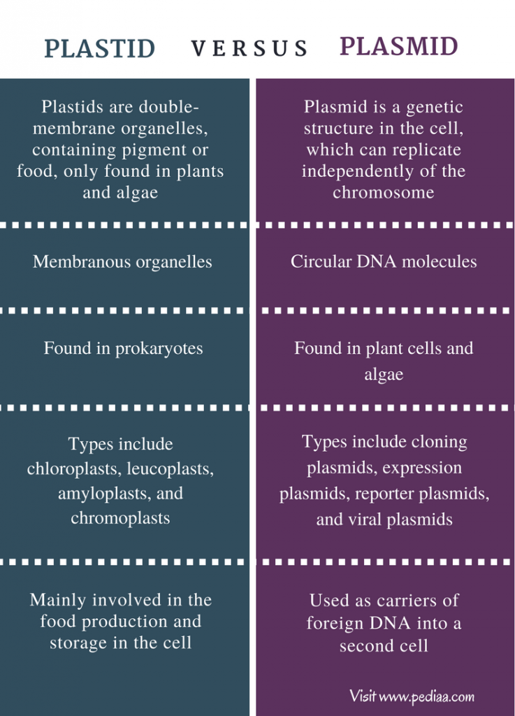 Difference Between Plastid and Plasmid | Definition, Types, Features ...