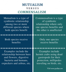 Difference Between Mutualism and Commensalism | Definition, Features ...
