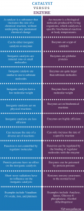 Difference Between Catalyst and Enzyme | Definition, Characteristics ...