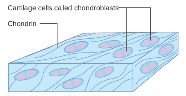 Pediaa.Com - Page 441 of 704 - Know about Anything