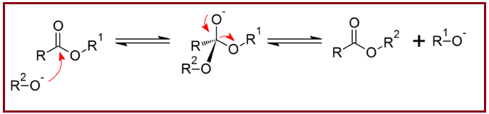 Difference Between Esterification and Transesterification | Definition ...