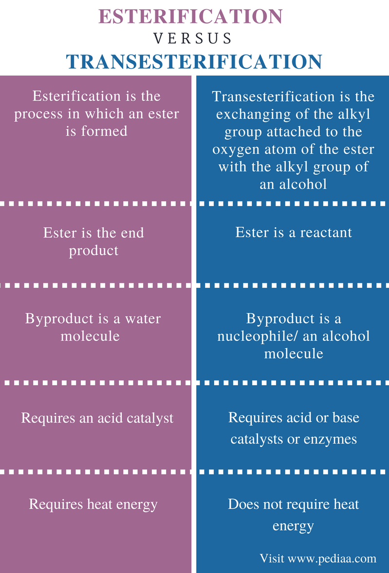 Difference Between Esterification and Transesterification | Definition ...