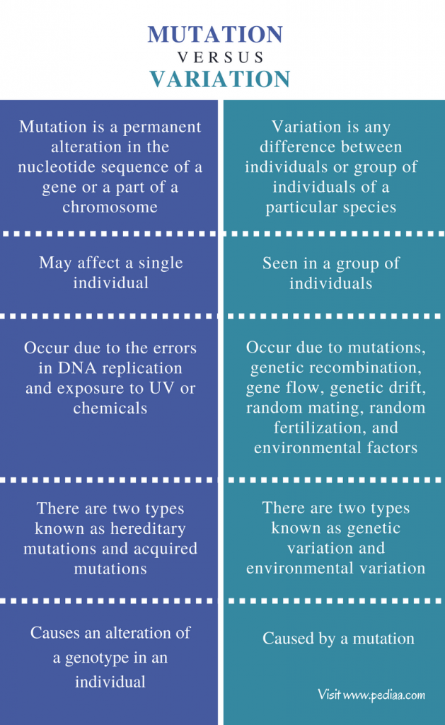 Difference Between Mutation and Variation | Definition, Types, Features