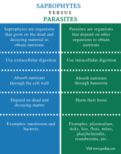 Difference Between Saprophytes and Parasites | Definition ...