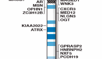 Pediaa.Com - Page 429 of 688 - Know about Anything