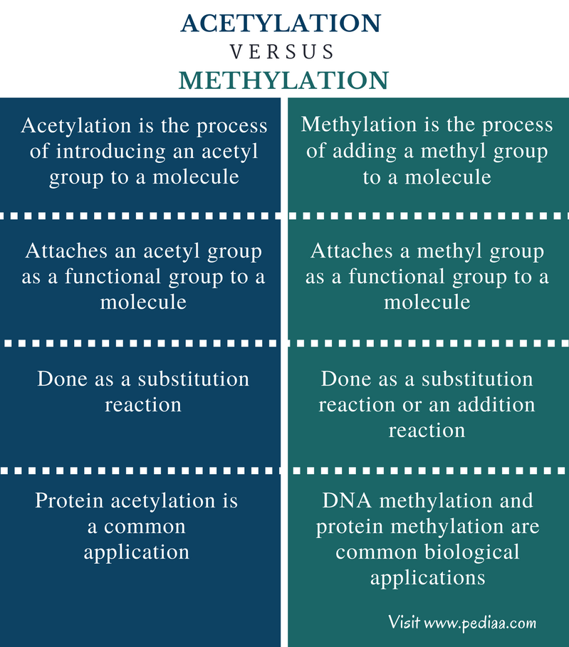 Difference Between Acetylation and Methylation | Definition, Reaction ...