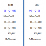 Difference Between Anomers and Epimers | Definition, Structure, Examples