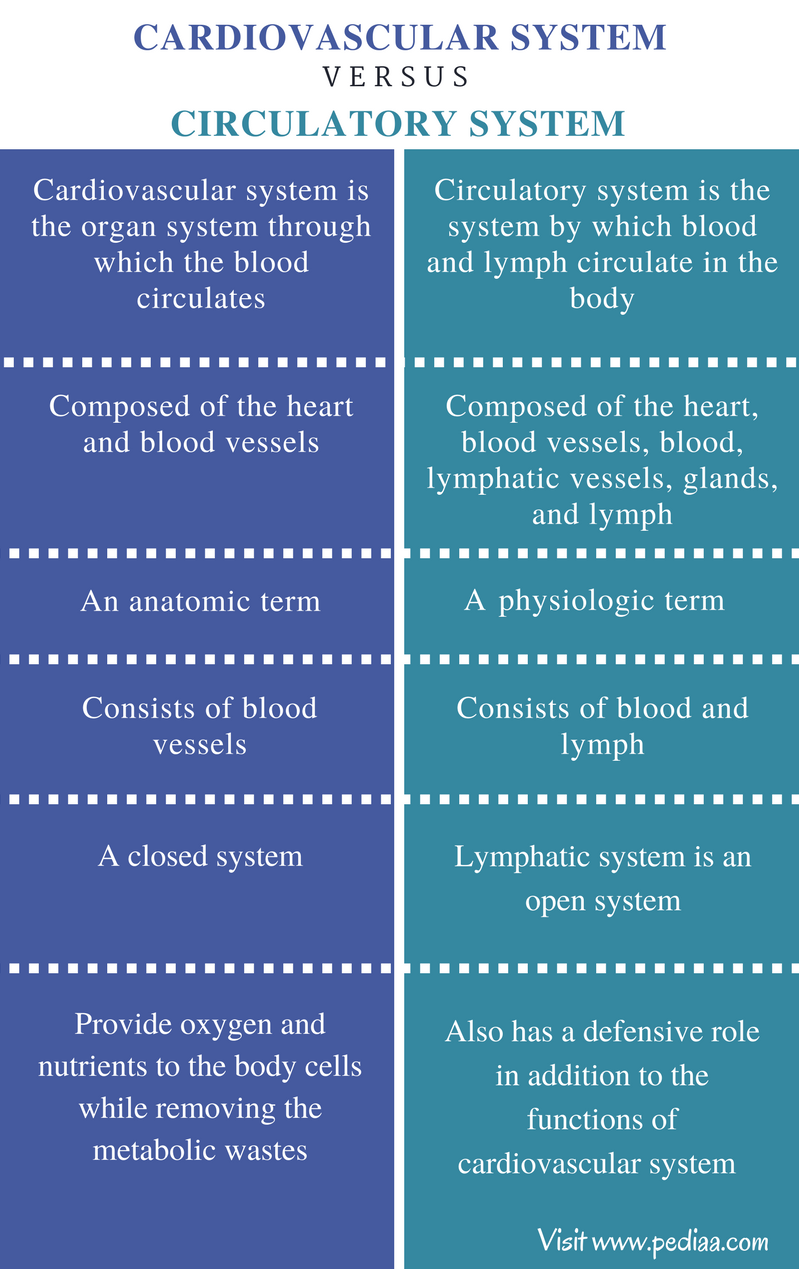 Difference Between Cardiovascular and Circulatory System | Definition ...