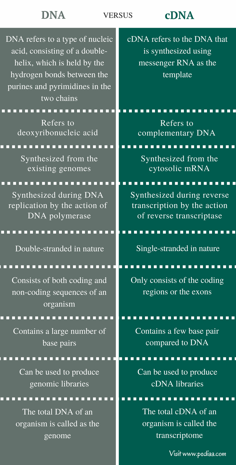 Difference Between DNA and cDNA | Definition, Characteristics ... Difference Between DNA and cDNA | Definition, Characteristics ...