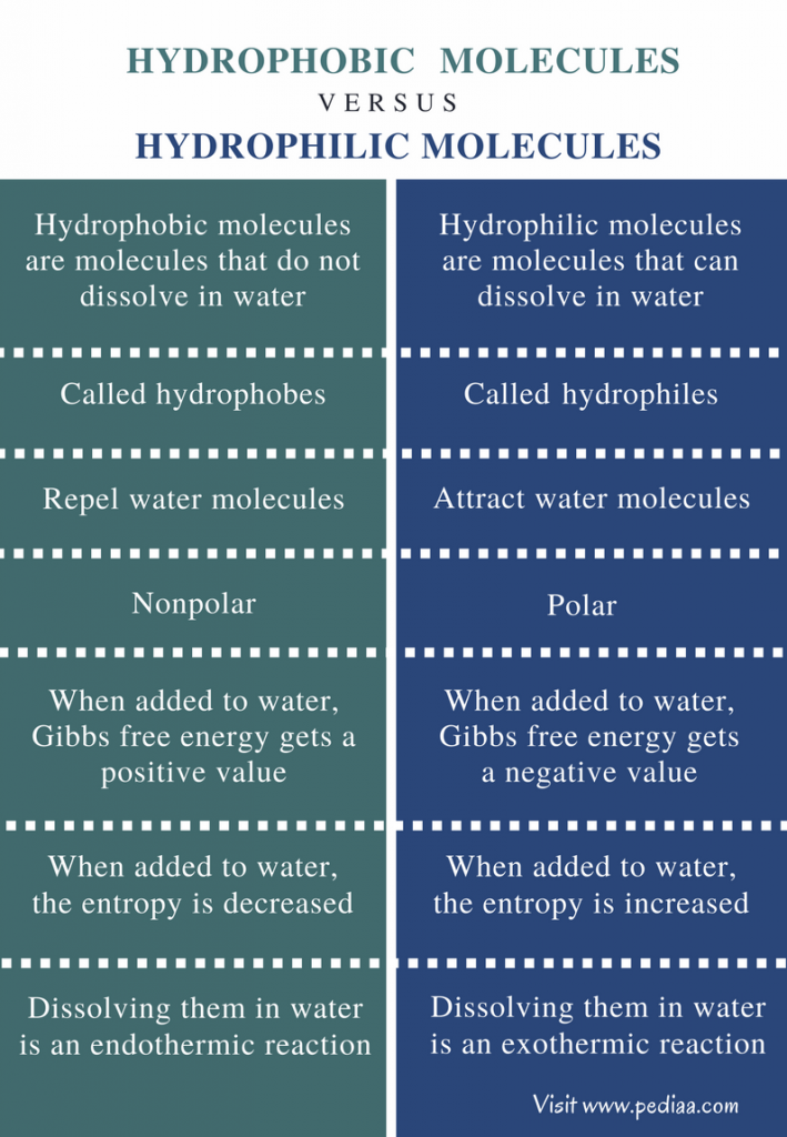 Difference Between Hydrophobic and Hydrophilic Molecules | Definition ...