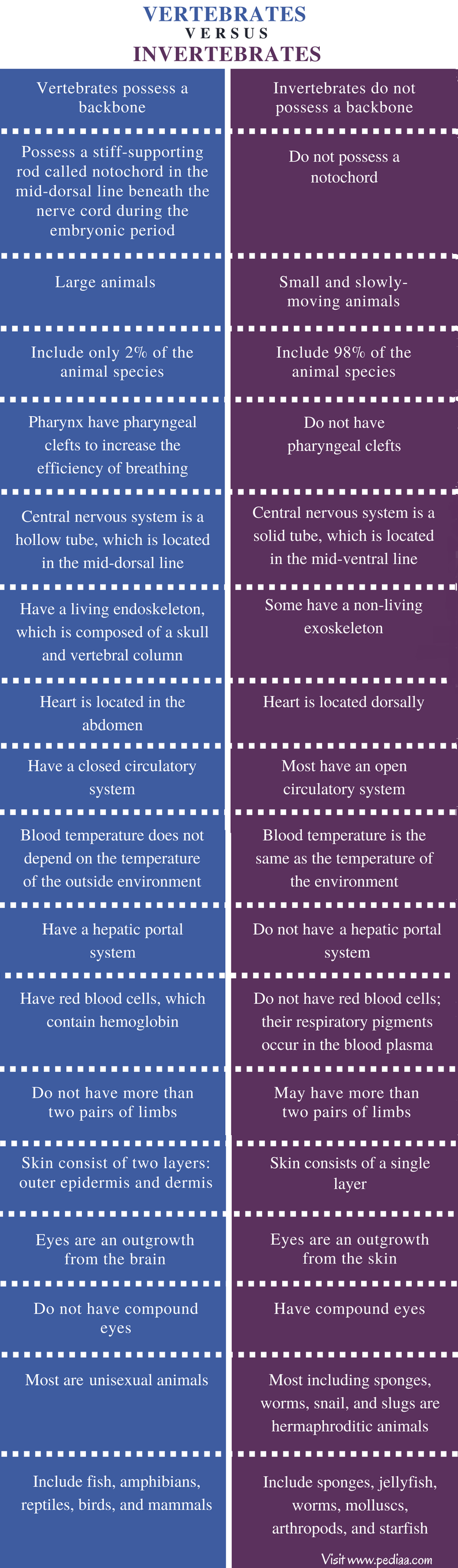 Difference Between Vertebrates And Invertebrates Definition 