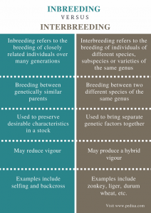 Difference Between Inbreeding and Interbreeding | Definition, Selfing ...