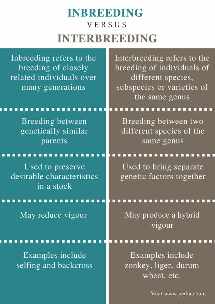 Difference Between Inbreeding and Interbreeding | Definition, Selfing ...