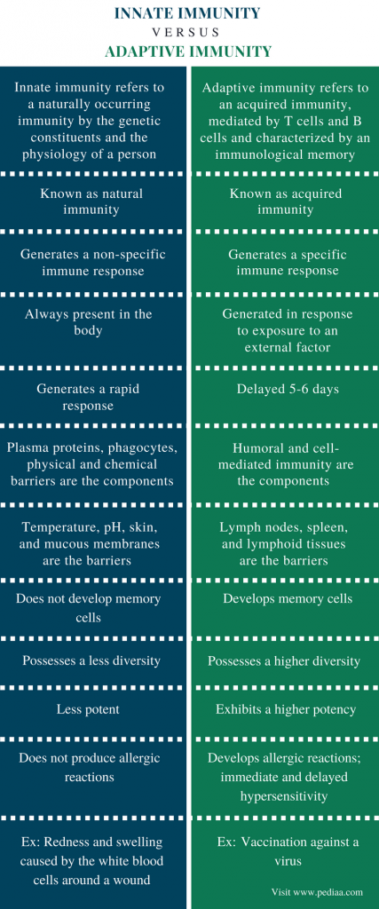 Difference Between Innate and Adaptive Immunity | Definition ... Difference Between Innate and Adaptive Immunity | Definition ...