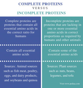 Difference Between Complete and Incomplete Proteins | Definition ...
