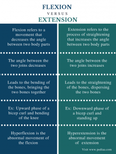 Difference Between Flexion and Extension | Definition, Angle, Examples ...