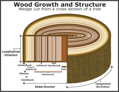 Difference Between Isotropic and Orthotropic | Definition, Properties ...