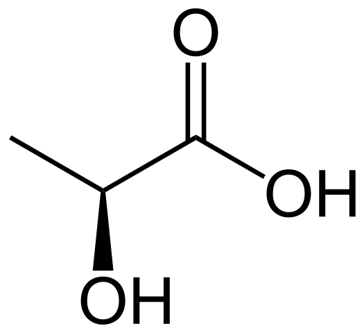 Difference Between Lactic Acid And Alcoholic Fermentation Definition