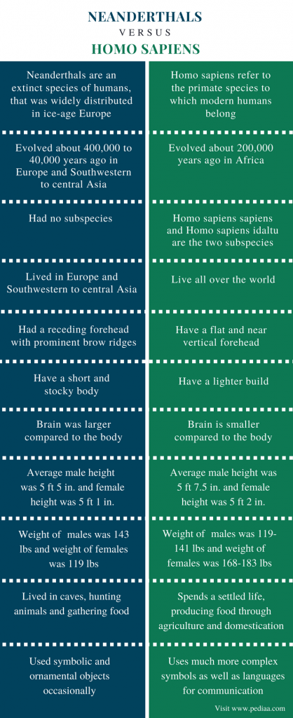 Neanderthal Vs Hominid