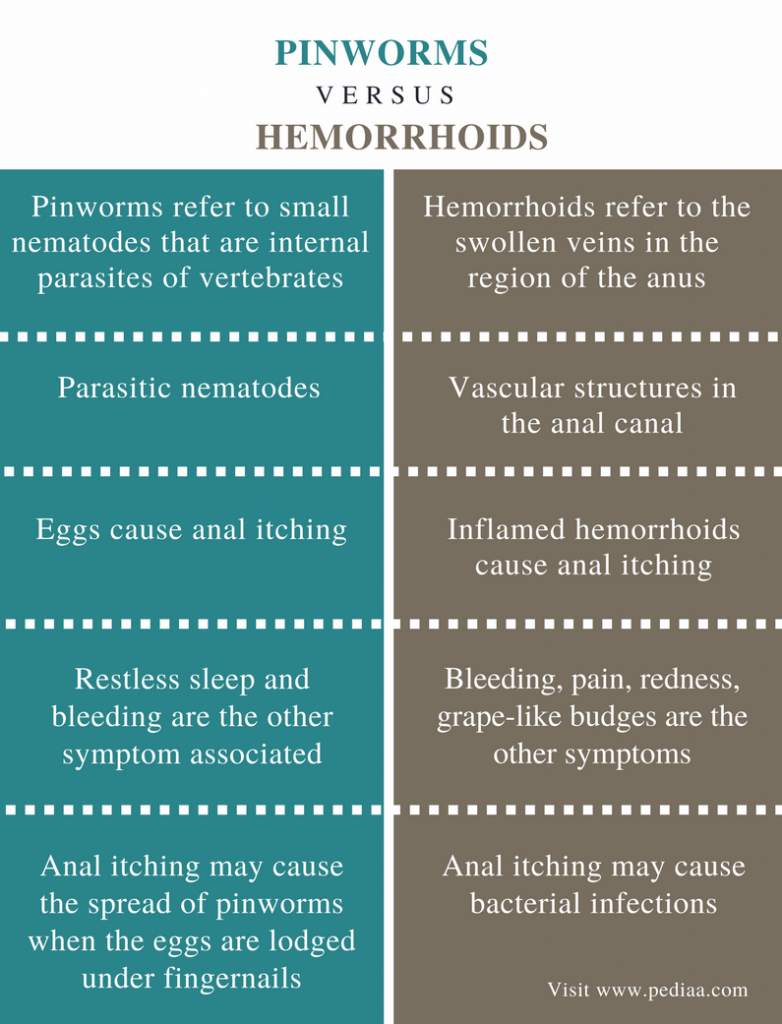 Difference Between Pinworms and Hemorrhoids | Definition, Facts, Reason ...