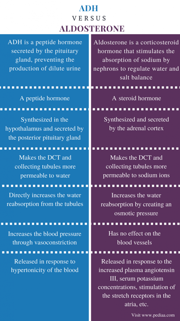 Difference Between Adh And Aldosterone Definition Secretion