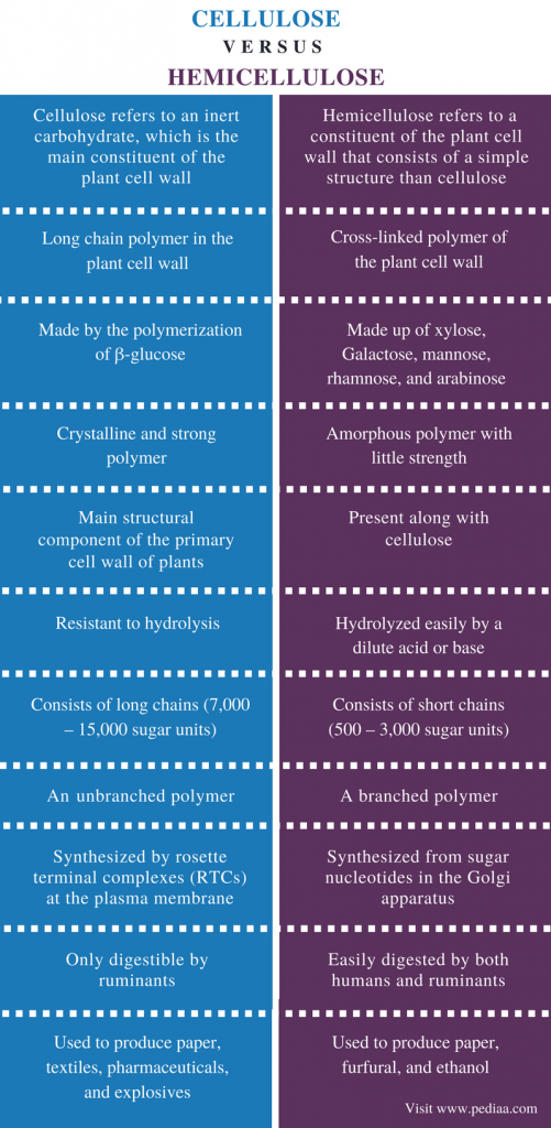 Difference Between Cellulose and Hemicellulose | Definition, Structure ...
