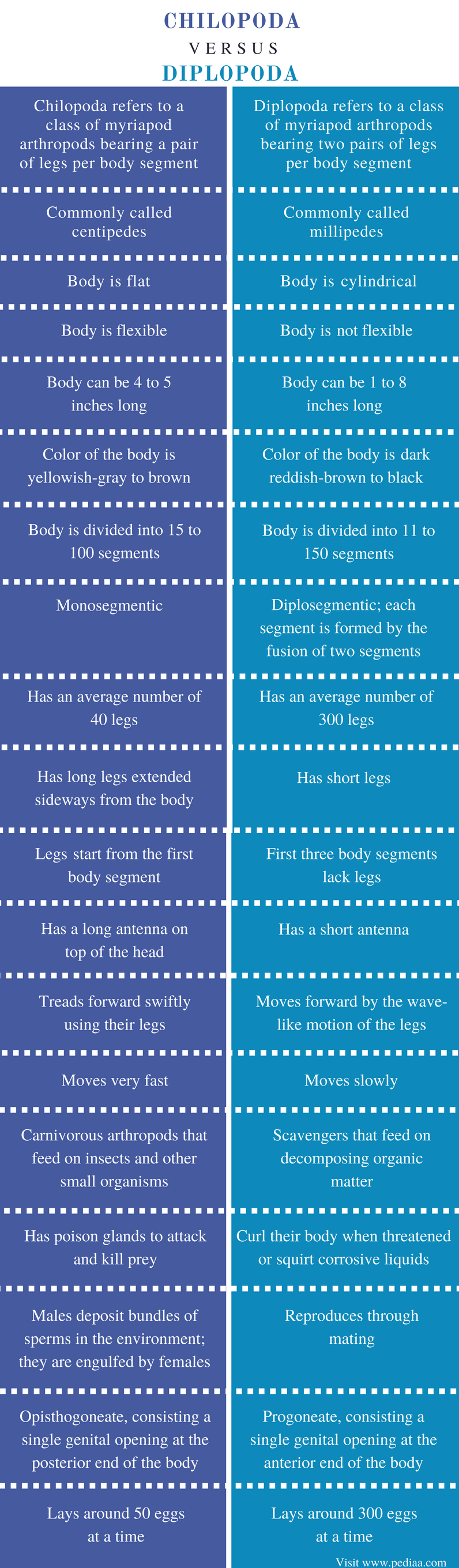 Difference Between Chilopoda and Diplopoda | Definition ...