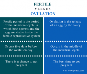 Difference Between Fertile and Ovulation | Definition, Periods, Fertile ...
