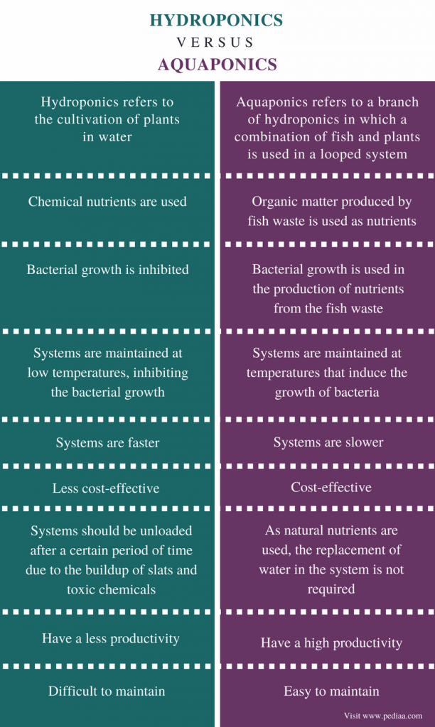Difference Between Hydroponics and Aquaponics | Definition, Facts ...