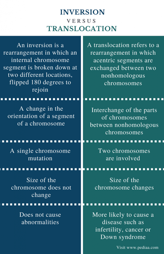 Difference Between Inversion and Translocation | Definition, Types ...