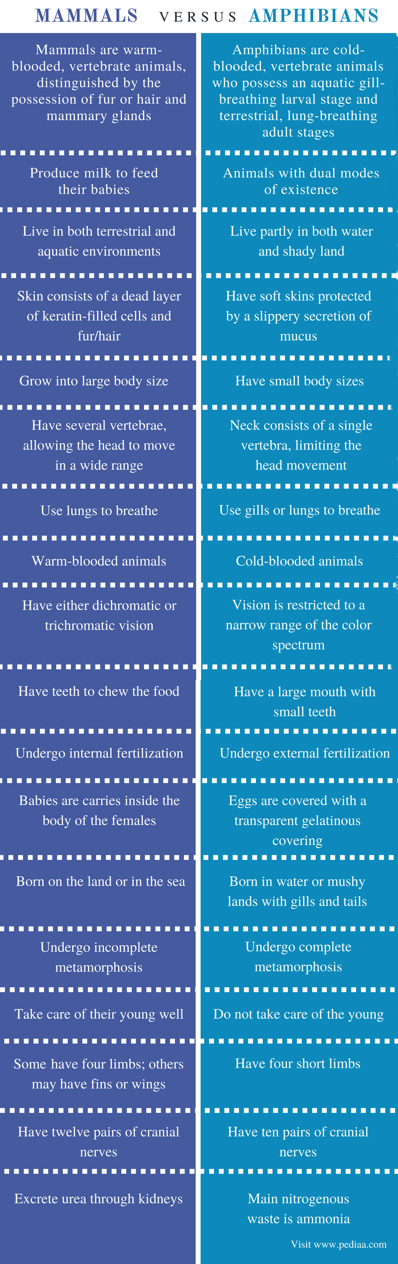Difference Between Mammals And Amphibians Definition Characteristics 