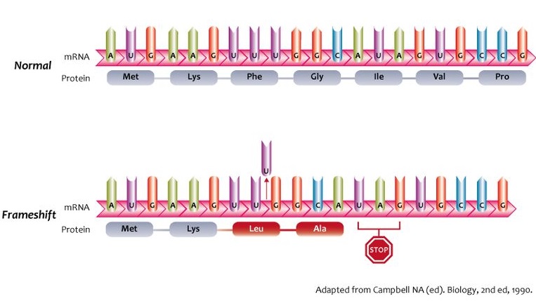 Difference Between Mutation and Recombination | Definition, Types, Role ... Difference Between Mutation and Recombination | Definition, Types, Role ...