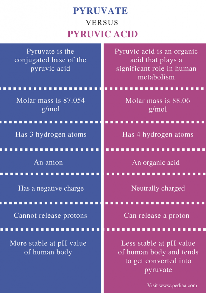 Difference Between Pyruvate And Pyruvic Acid Definition Chemical Properties Differences