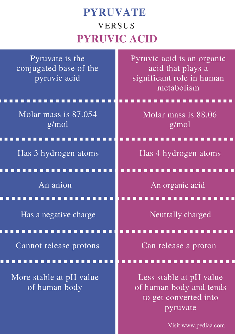 Difference Between Pyruvate and Pyruvic Acid | Definition, Chemical ...