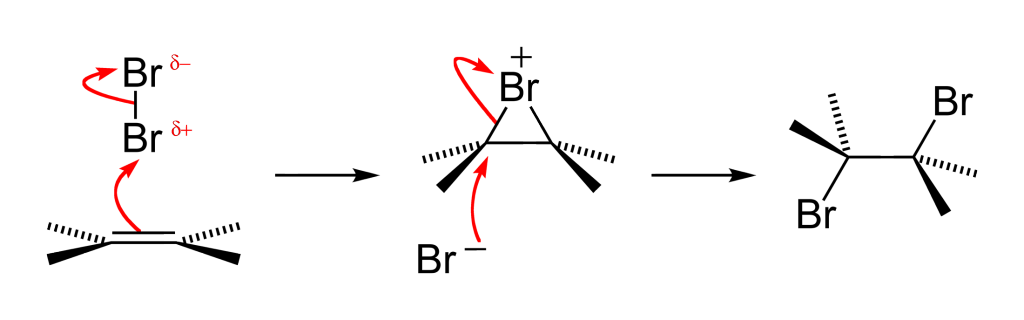 Difference Between Syn and Anti Addition | Definition, Effects, Example ... Difference Between Syn and Anti Addition | Definition, Effects, Example ...