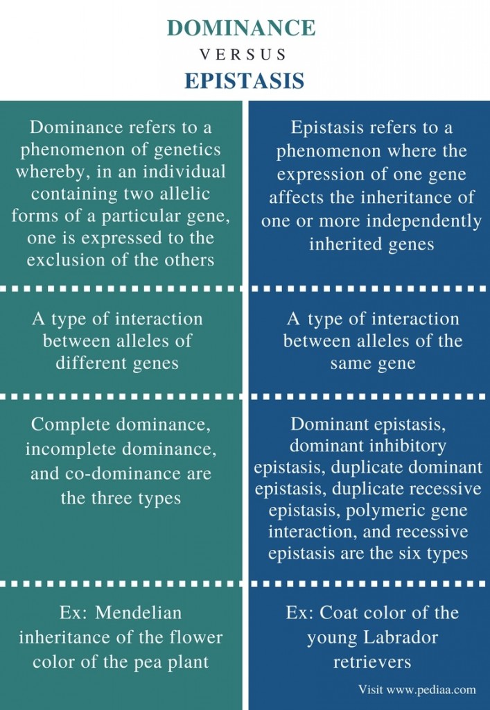Difference Between Dominance And Epistasis Definition Types