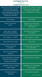 Difference Between Enterococcus and Streptococcus | Definition ...