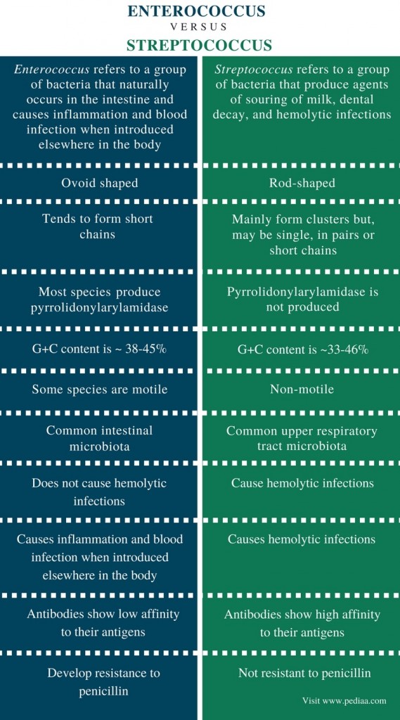 Difference Between Enterococcus and Streptococcus | Definition ...
