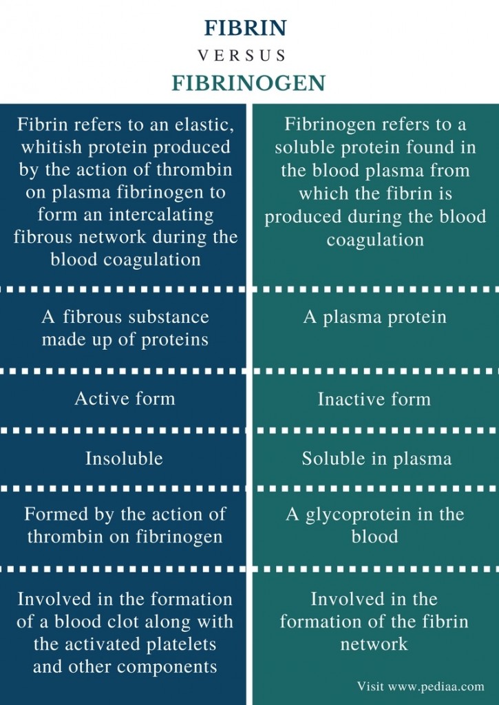 Difference Between Fibrin and Fibrinogen | Definition, Formation ...