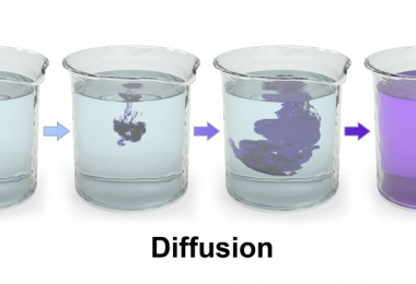 Difference Between Mass Transfer and Diffusion | Definition, Forms ...