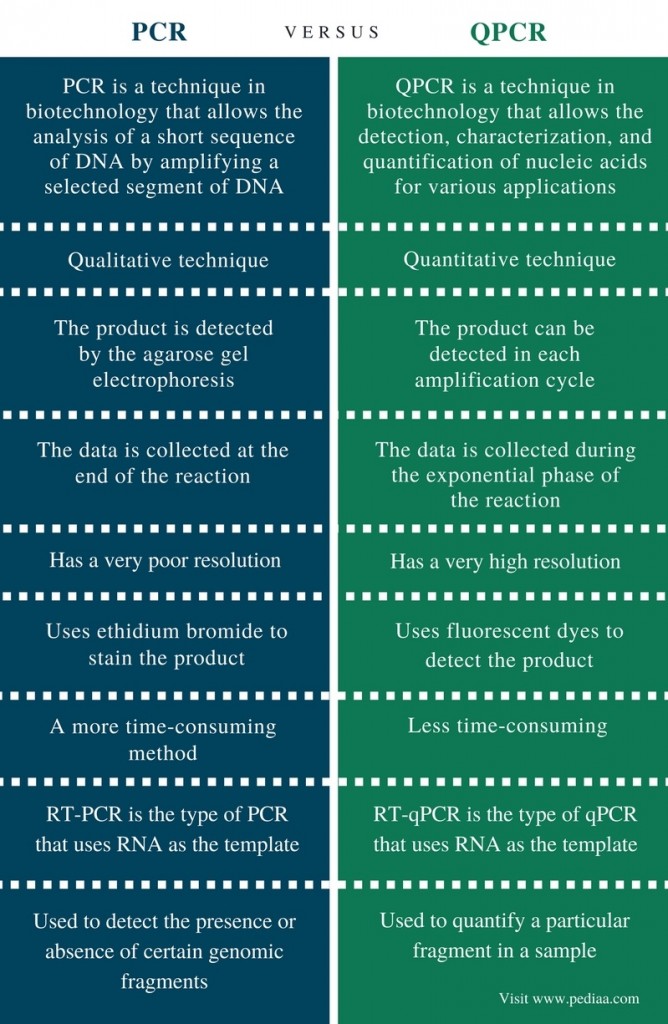 Difference Between PCR and QPCR | Definition, Processes, Uses and ... Difference Between PCR and QPCR | Definition, Processes, Uses and ...