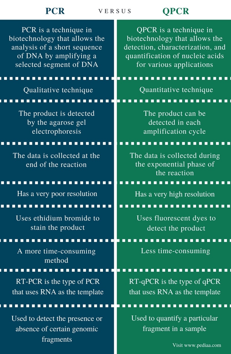 What Are The Differences Between Pcr Rt Pcr Qpcr And Rt Qpcr Enzo What Are The Differences Between Pcr Rt Pcr Qpcr And Rt Qpcr Enzo