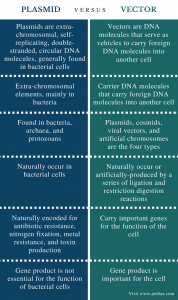 Difference Between Plasmid and Vector | Definition, Structure, Role ...