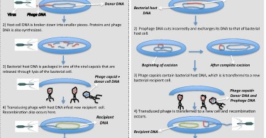Pediaa.Com - Page 250 of 576 - Know about Anything