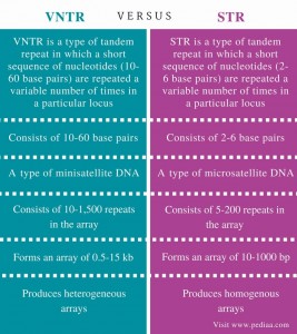 Difference Between VNTR and STR | Definition, Features, Importance ...